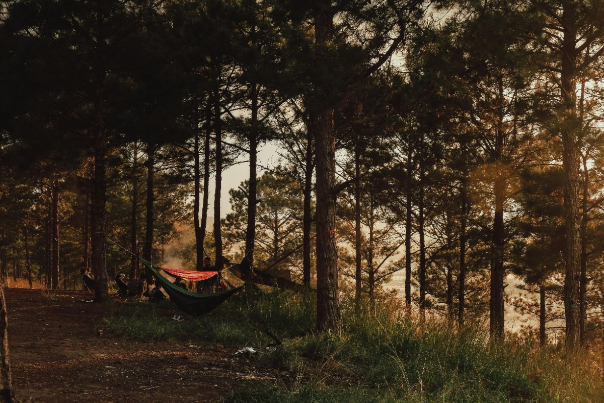 Exploring Hidden Gems: Off-the-Beaten-Path Camping Destinations ...
